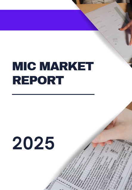 China IC Design Industry: Trends, Geopolitics & ICCAD 2024