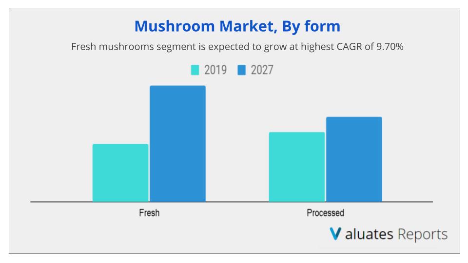 Mushroom Market Size, Share, Growth [2021-2027], Industry Report, Forecast