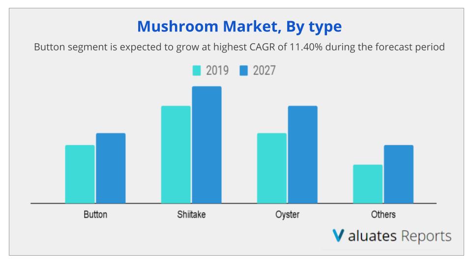 Mushroom Market Size, Share, Growth [2021-2027], Industry Report, Forecast