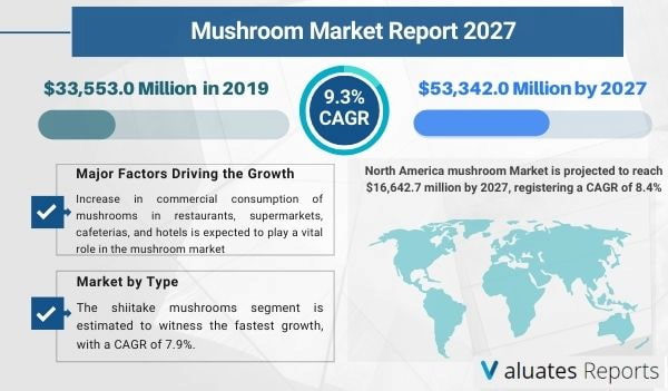 Mushroom Market Size, Share, Growth [2021-2027], Industry Report, Forecast